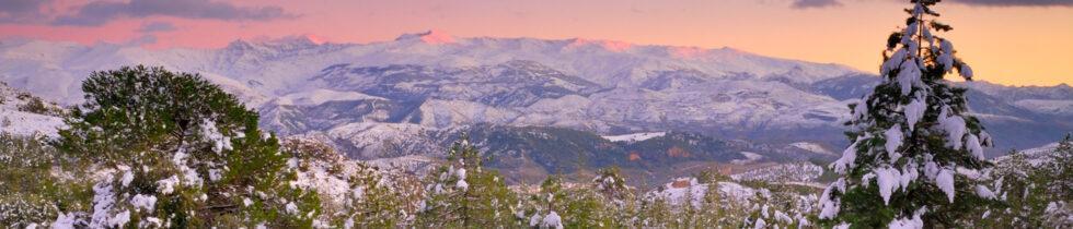 Ruta del Califato - El legado andalusi